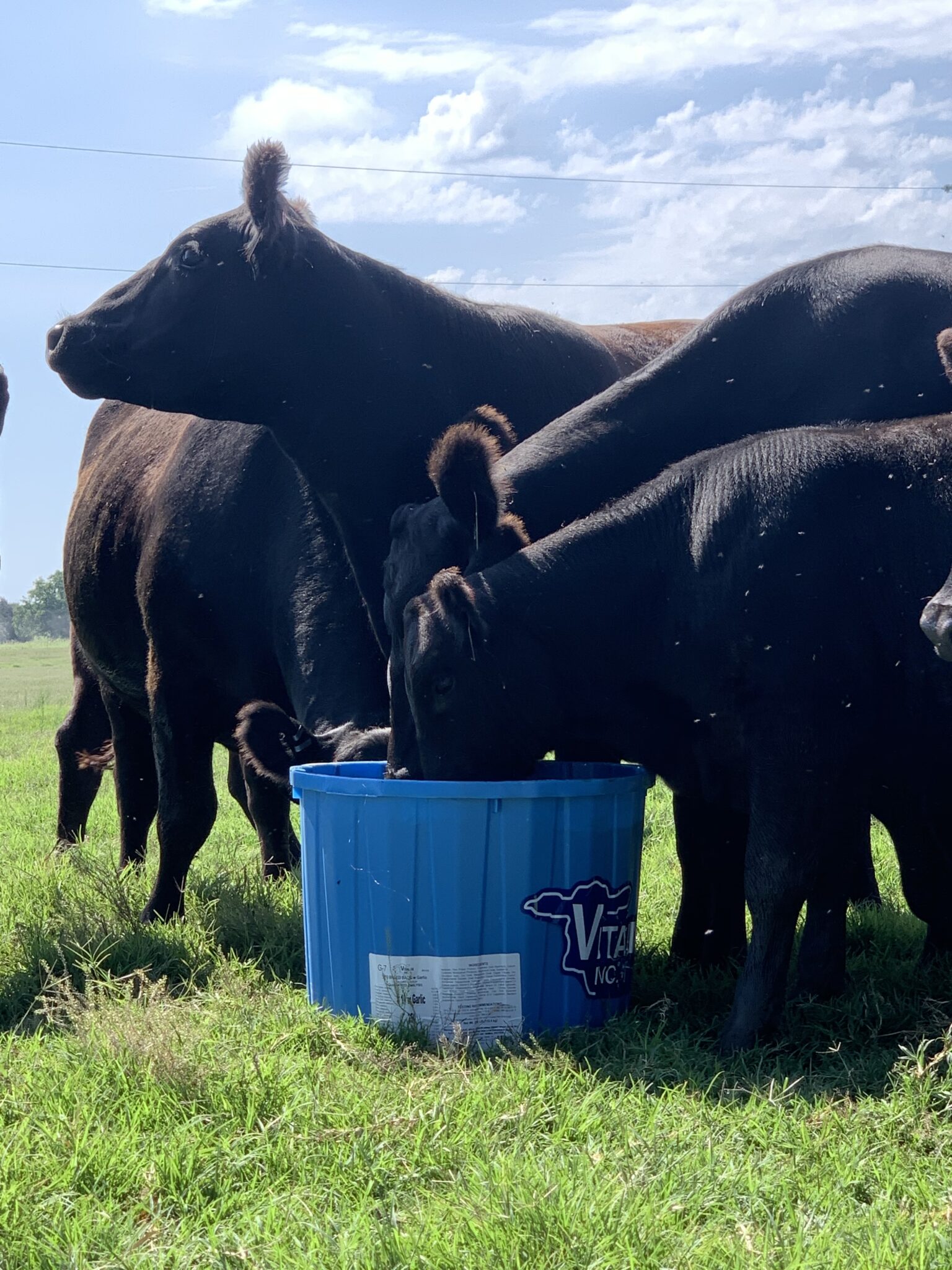 #4 Natural 22 with HI Mag | Vitalix Inc.